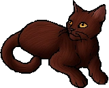 Acorn Fur | Warriors Wiki | Fandom