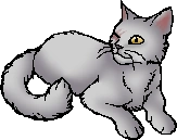 One-eye | Warriors Wiki | Fandom