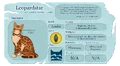 Leopardstar | Warriors Wiki | Fandom