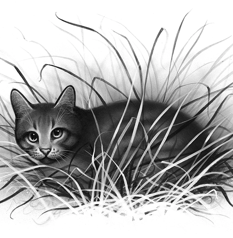 Path of Stars/Chapter 23 | Warriors Wiki | Fandom