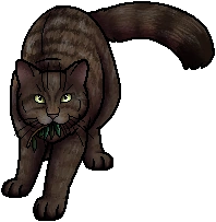 Spring Claw | Warriors Wiki | Fandom