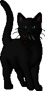 Ravenwing | Warriors Wiki | Fandom