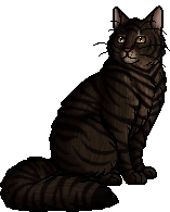 Lightleap | Warriors Wiki | Fandom