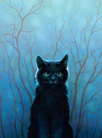 Shadowstar | Warriors Wiki | Fandom