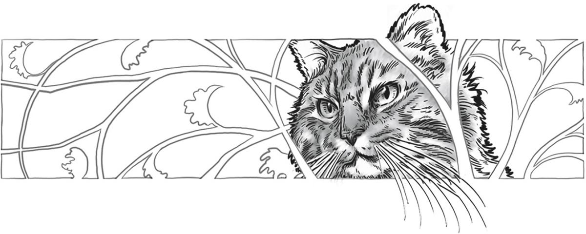 Shadow (book)/Chapter 13 | Warriors Wiki | Fandom