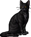 Nightheart (ASC) | Warriors Wiki | Fandom