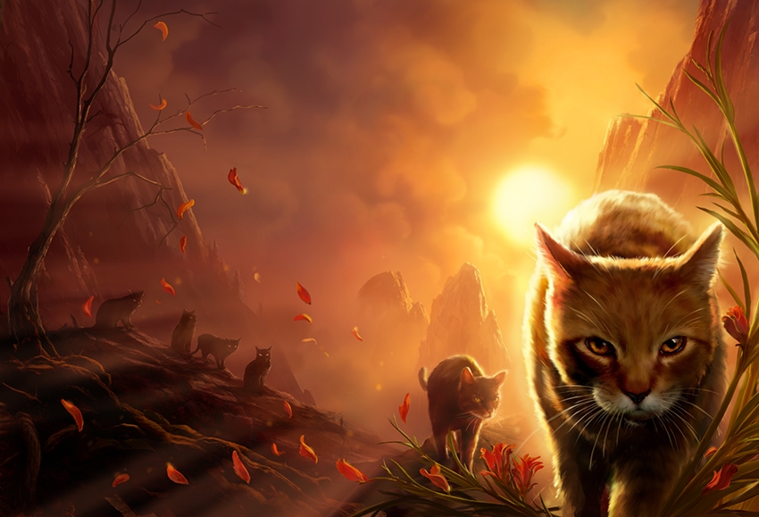 Journey to find SkyClan (TAQ) | Warriors Wiki | Fandom