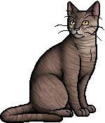 Birchfall | Warriors Wiki | Fandom