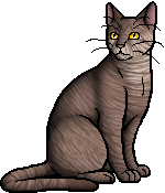 Birchfall | Warriors Wiki | Fandom