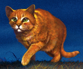 Firestar | Warriors Wiki | Fandom