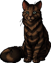 Splashtail | Warriors Wiki | Fandom