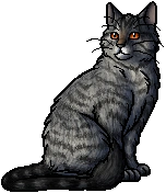 Reedtail | Warriors Wiki | Fandom