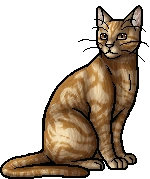 Warrior Cats Speckletail