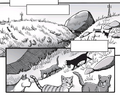 WindClan | Warriors Wiki | Fandom