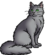 Dovewing | Warriors Wiki | Fandom