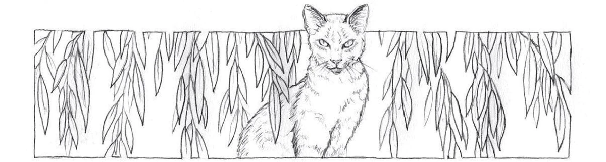 The Raging Storm/Chapter 20 | Warriors Wiki | Fandom