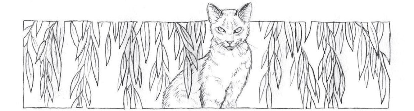 Shattered Sky/Chapter 20 | Warriors Wiki | Fandom