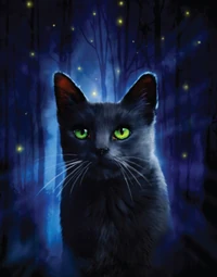 ShadowClan | Warriors Wiki | Fandom
