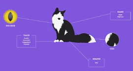 Warrior Cats website | Warriors Wiki | Fandom