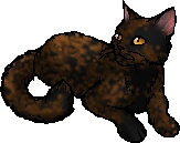 Rowanstar (SkC) | Warriors Wiki | Fandom