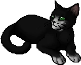 Molepaw (TNP) | Warriors Wiki | Fandom