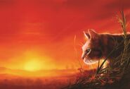 Fading Echoes | Warriors Wiki | Fandom