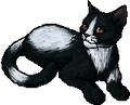Tallstar | Warriors Wiki | Fandom
