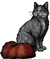 Warrior Cats Poppydawn