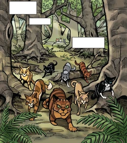 Battles | Warriors Wiki | Fandom