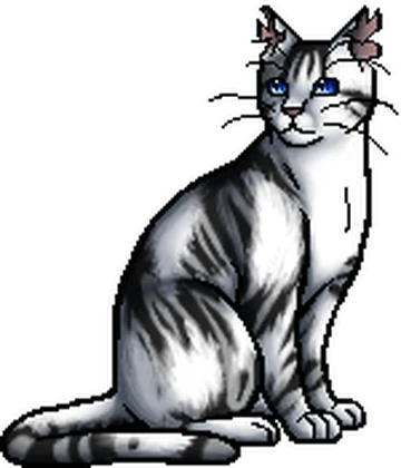 Warrior Cats Ivypool Kits