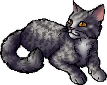 Warrior Cats Willowbreeze