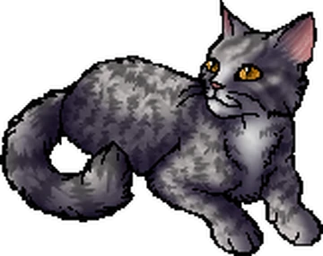 Warrior Cats Willowkit