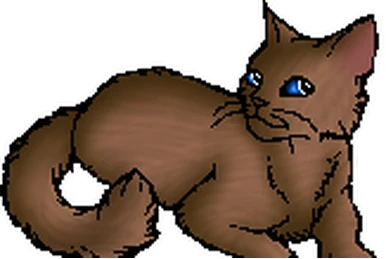Warrior Cats Willowkit
