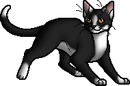 Swiftpaw (TPB) | Warriors Wiki | Fandom