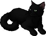 Hollyleaf | Warriors Wiki | Fandom