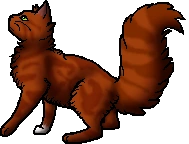 The Apprentice's Quest/Bonus Scene | Warriors Wiki | Fandom