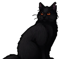 Shadowclan Cats