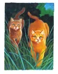 Firestar | Warriors Wiki | Fandom
