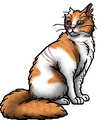 Brightheart | Warriors Wiki | Fandom