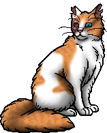 Brightheart Warrior Cats