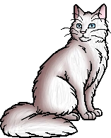 Harelight | Warriors Wiki | Fandom