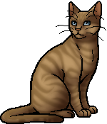 Heathertail | Warriors Wiki | Fandom