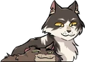Patchpelt | Warriors Wiki | Fandom