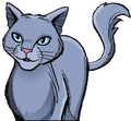 Mistystar | Warriors Wiki | Fandom
