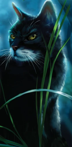 Fall of ShadowClan | Warriors Wiki | Fandom