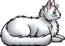 Cloudtail | Warriors Wiki | Fandom