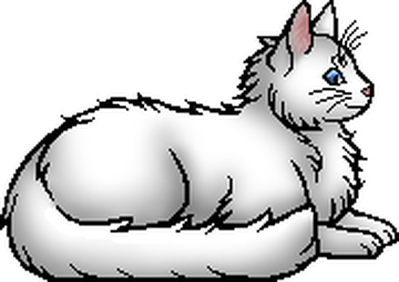 Warrior Cats Brightheart And Cloudtail Kit