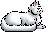 Cloudtail | Warriors Wiki | Fandom