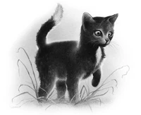 Battle for Sunningrocks (ITW) | Warriors Wiki | Fandom