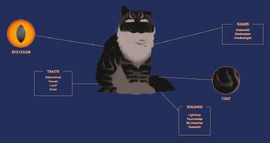 Warrior Cats website | Warriors Wiki | Fandom